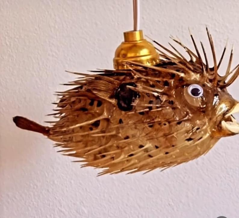 Handmade Puffer Fish Lamp: Nautical Tiki Bar Decor Porcupine - Etsy