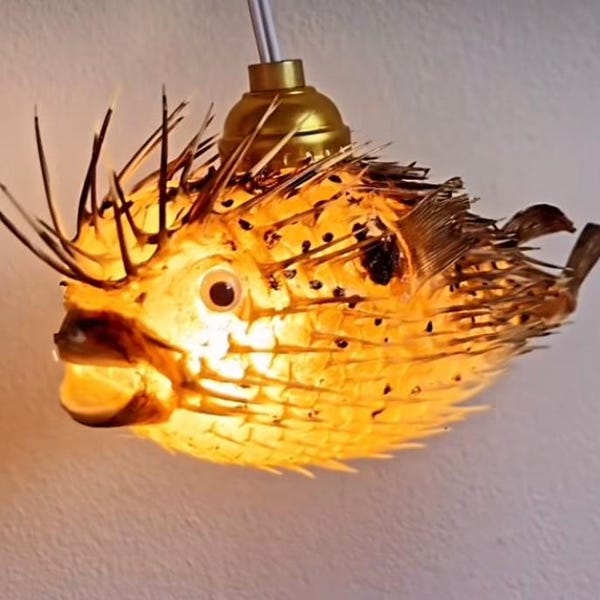 Fish Lamp - Etsy