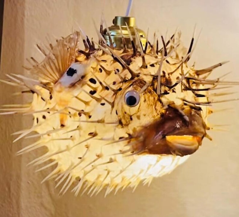 Puffer Porcupine Fish Tiki Bar Lamp String Light Nautical Decor ...