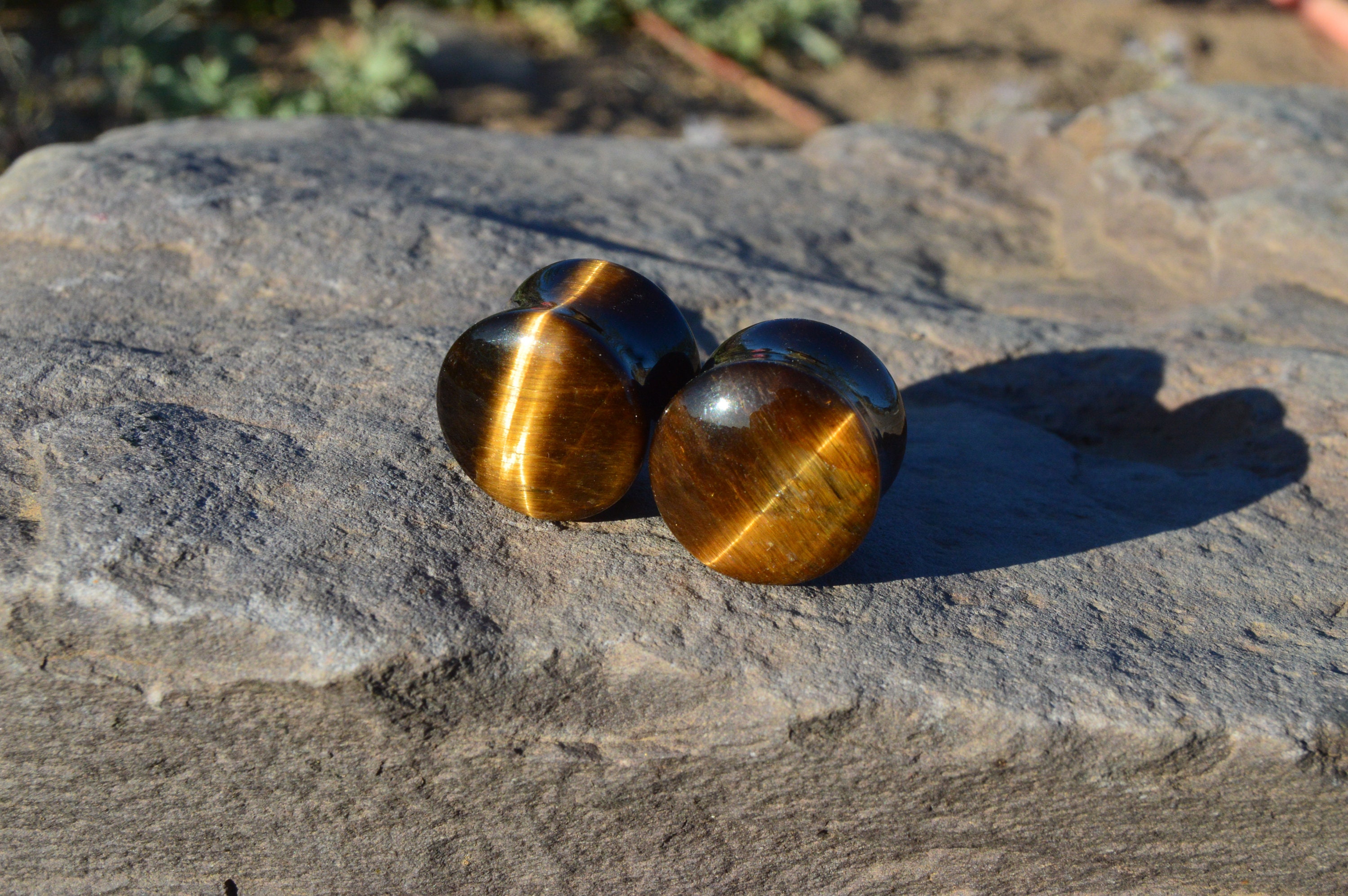 Yellow Tigers Eye Plugs - Etsy