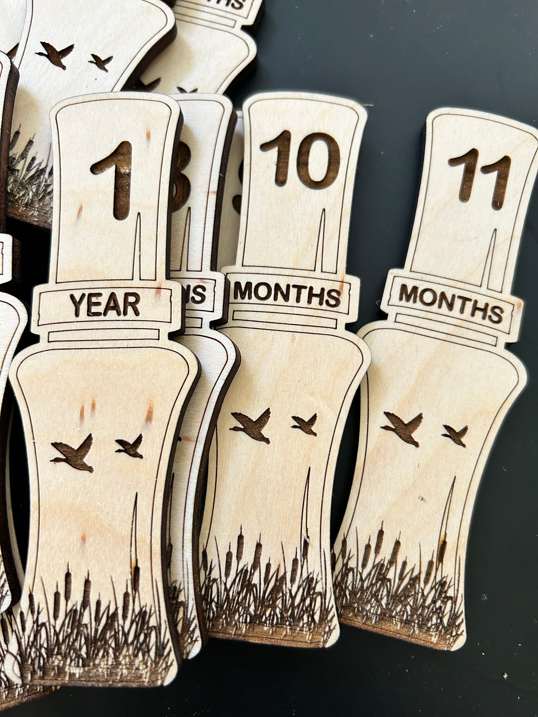 Duck Waterfoul Nursery Monthly Milestone SVG Glowforge Digital File ...