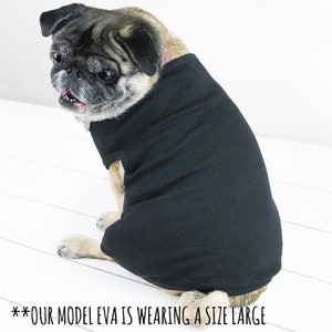 Passover Dog Clothes, Dog's First Passover Matzoh Dog Apparel Outfit ...