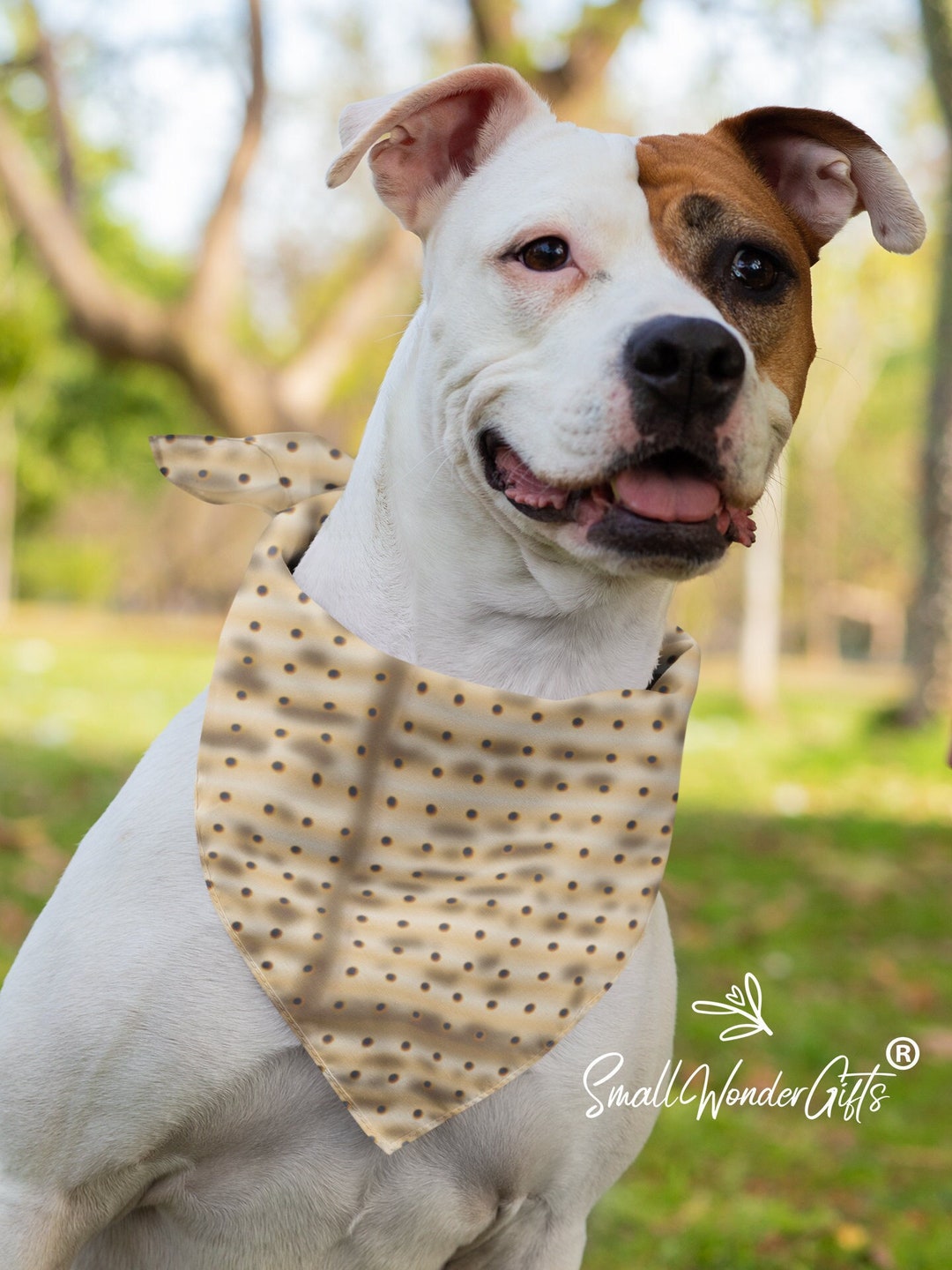 Jewish Dog Bandana, Passover Pet Neckwear Cat Bandana Passover Dog ...