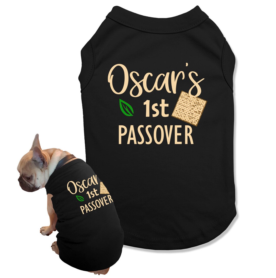 Passover Dog Clothes, Dog's First Passover Matzoh Dog Apparel Outfit ...