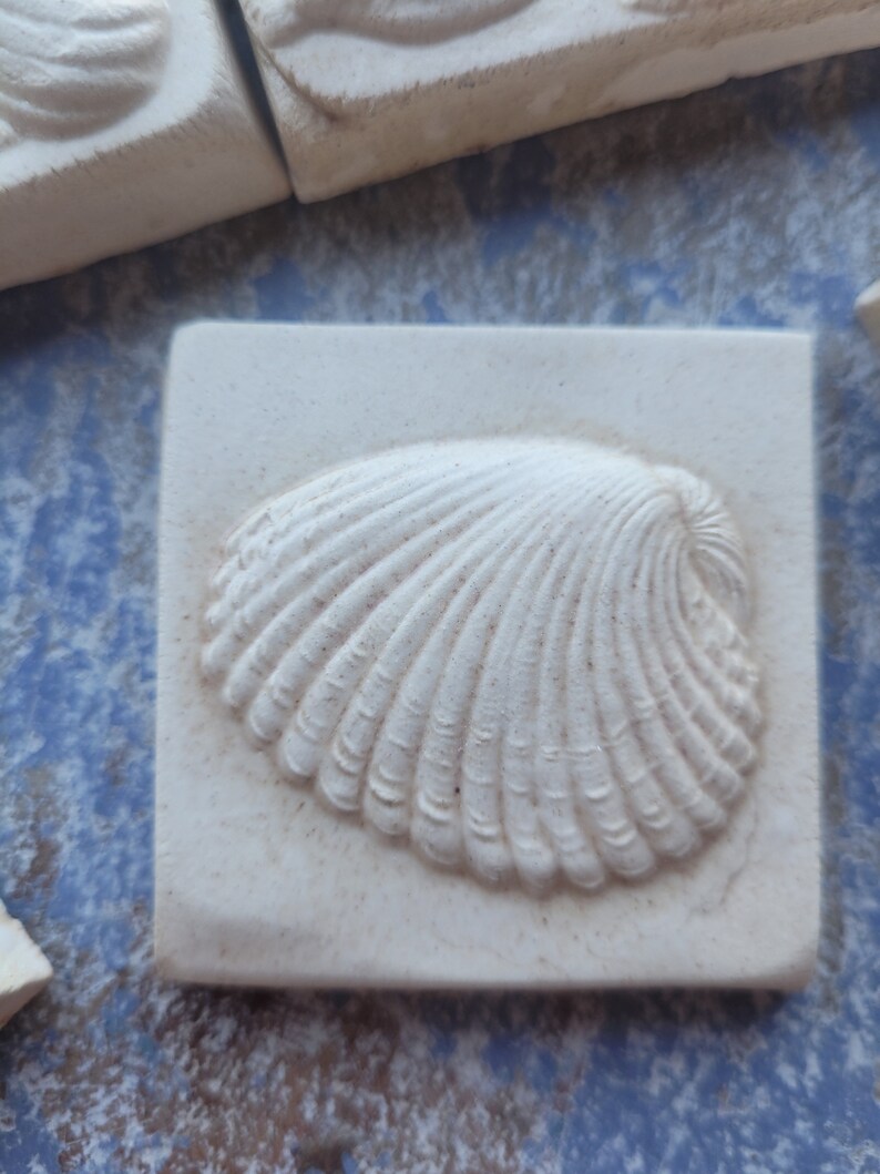 Sea Life Deco Set 6x6 Seashells and 2x2 Shell Handmade - Etsy