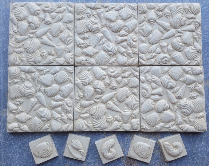 Sea Life Deco Set 6x6 Seashells and 2x2 Shell Handmade Ceramic Tiles - Etsy