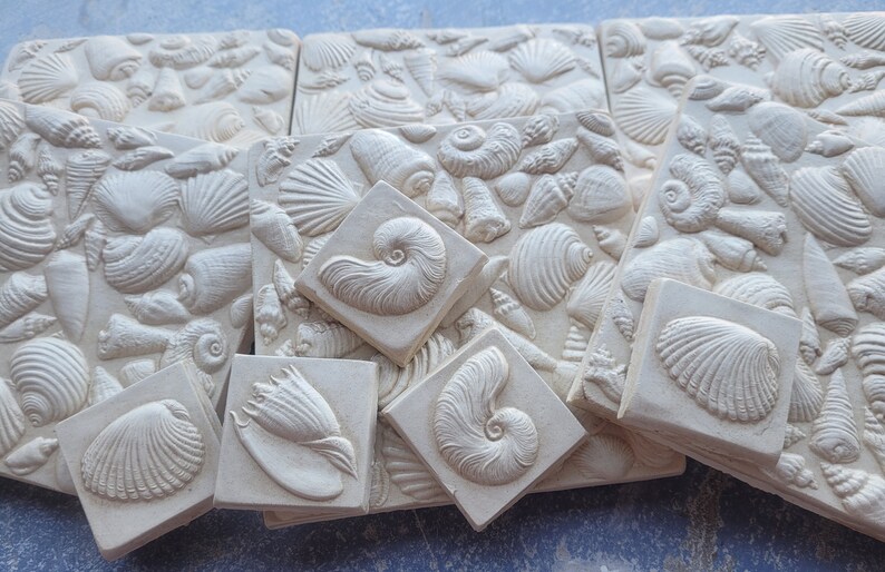 Sea Life Deco Set 6x6 Seashells and 2x2 Shell Handmade - Etsy
