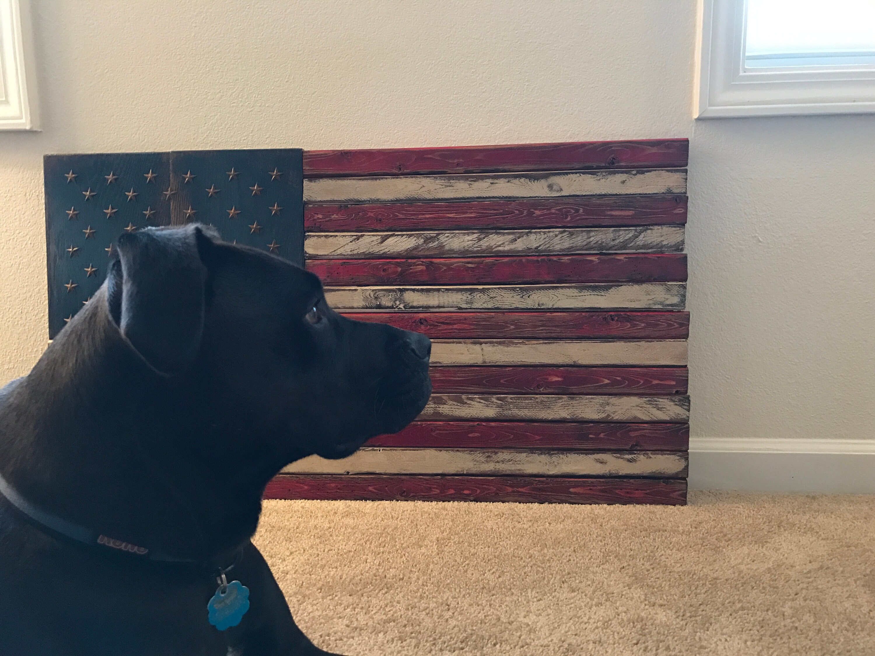 Raggedy Old Flag - 3 Ft - Etsy