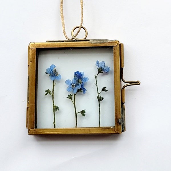 Forget Me Nots - Etsy