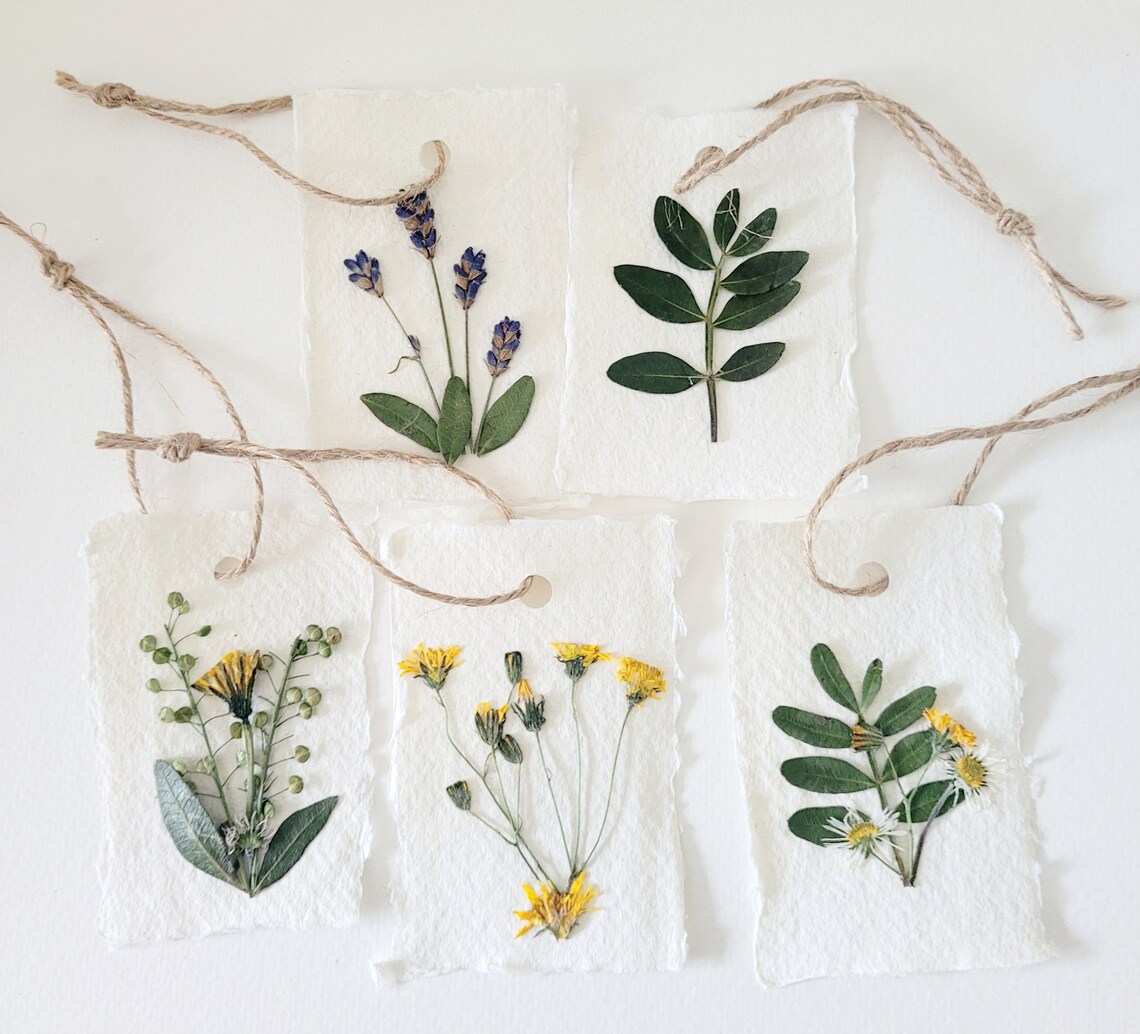 Handmade Paper Pressed Flower Gift Tags Set of 5 - Etsy