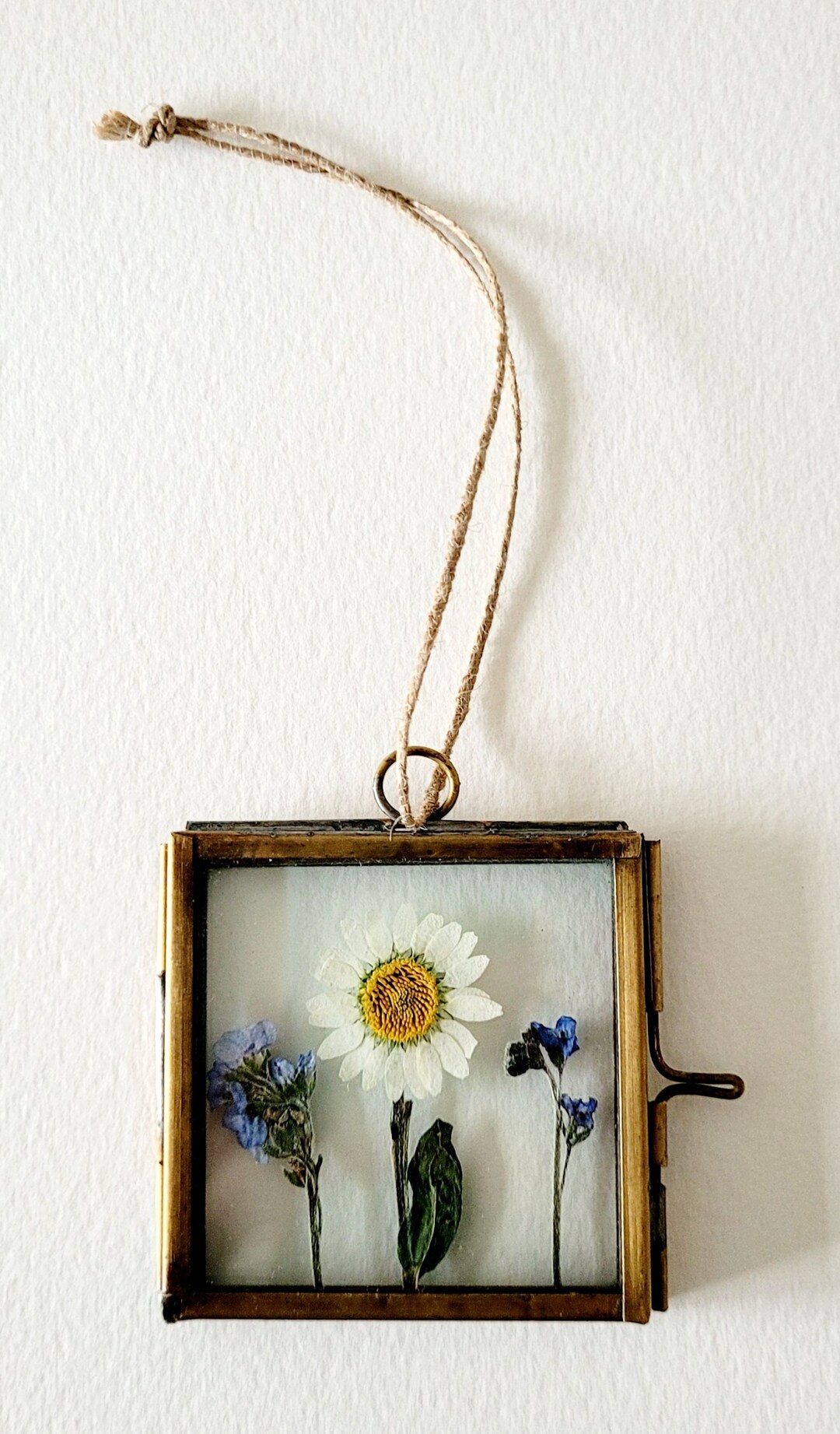 Mini Hanging Metal Frame With Pressed Sprigs of Forget-me-nots and a ...
