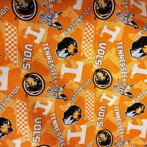 Officially Licensed Tennessee Volunteers, GO VOLS! Applique Quilt ...