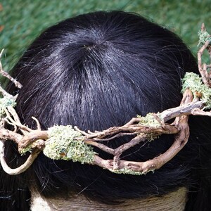 Fairy Crown/branch Crown/twig Crown/ Cosplay Headwear/bohemian Crown ...