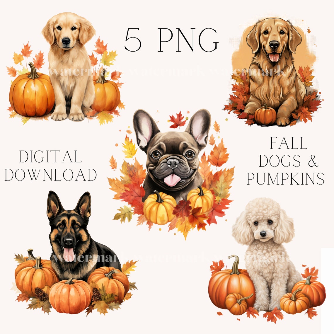 Furry Fall Fun: 5 PNG Dogs, Pumpkins Poodle French Bulldog German ...