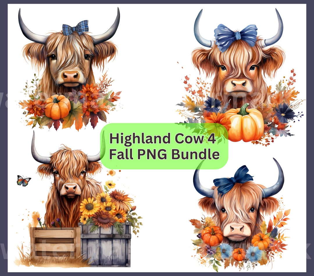 Highland Cow Fall Pumpkin Scene 4 PNG Bundle Splashes of Blue Floral ...