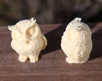 Tagua Nut Carving | Etsy