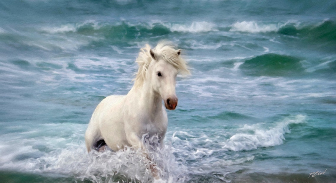 Cheval de mer océan mer cheval vagues chapeaux blancs | Etsy