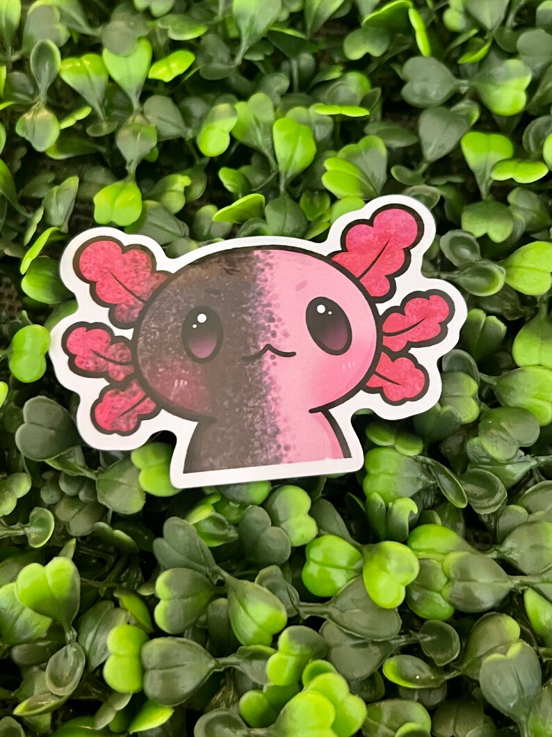 Axolotl Set | 5 Stickers | 3x3 | Vinyl Sticker | Decal | Kawaii - Etsy