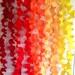 Mexican Fiesta Streamers Backdrop Rainbow Wall Decor - Etsy