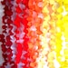 Mexican Fiesta Streamers Backdrop Rainbow Wall Decor - Etsy