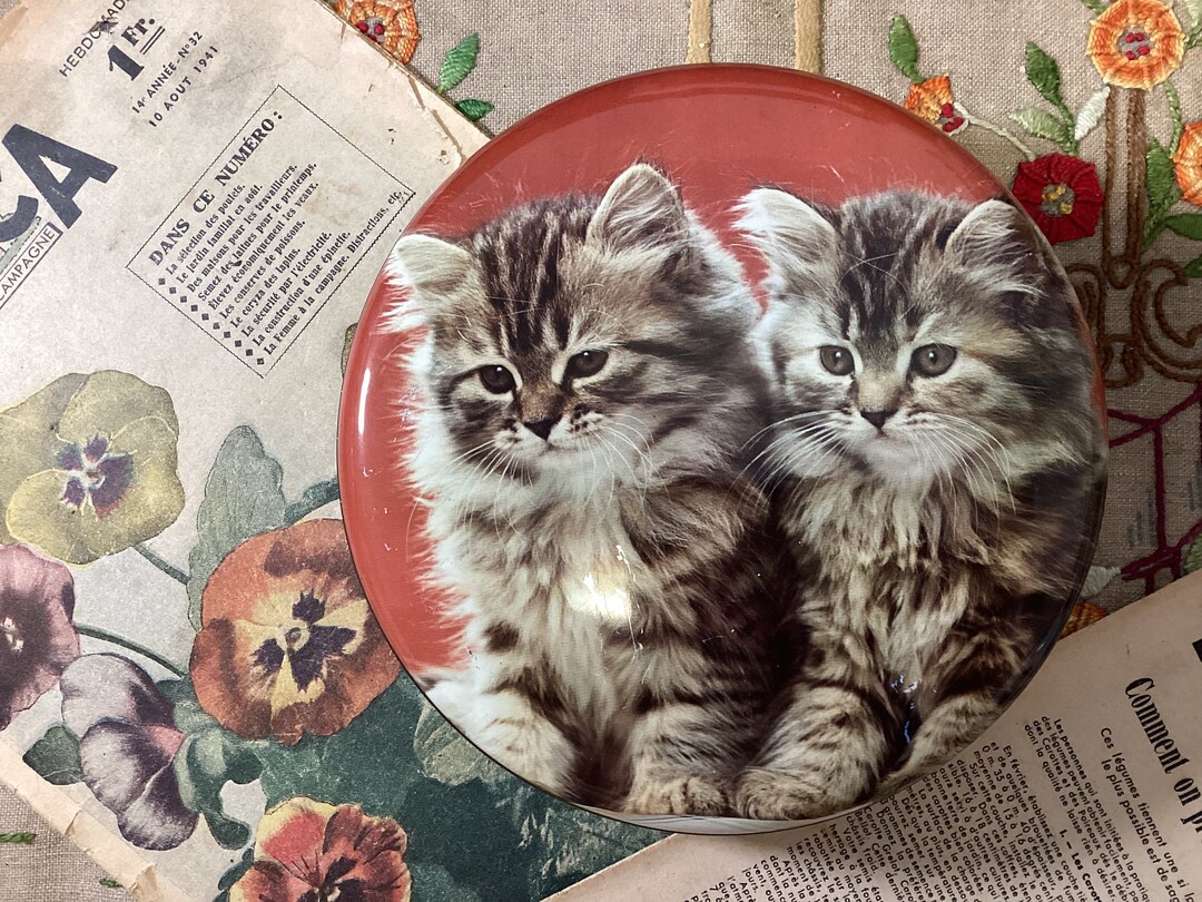 French Vintage Long Haired Tabby Kittens Tin Sweets Box, Embellished ...