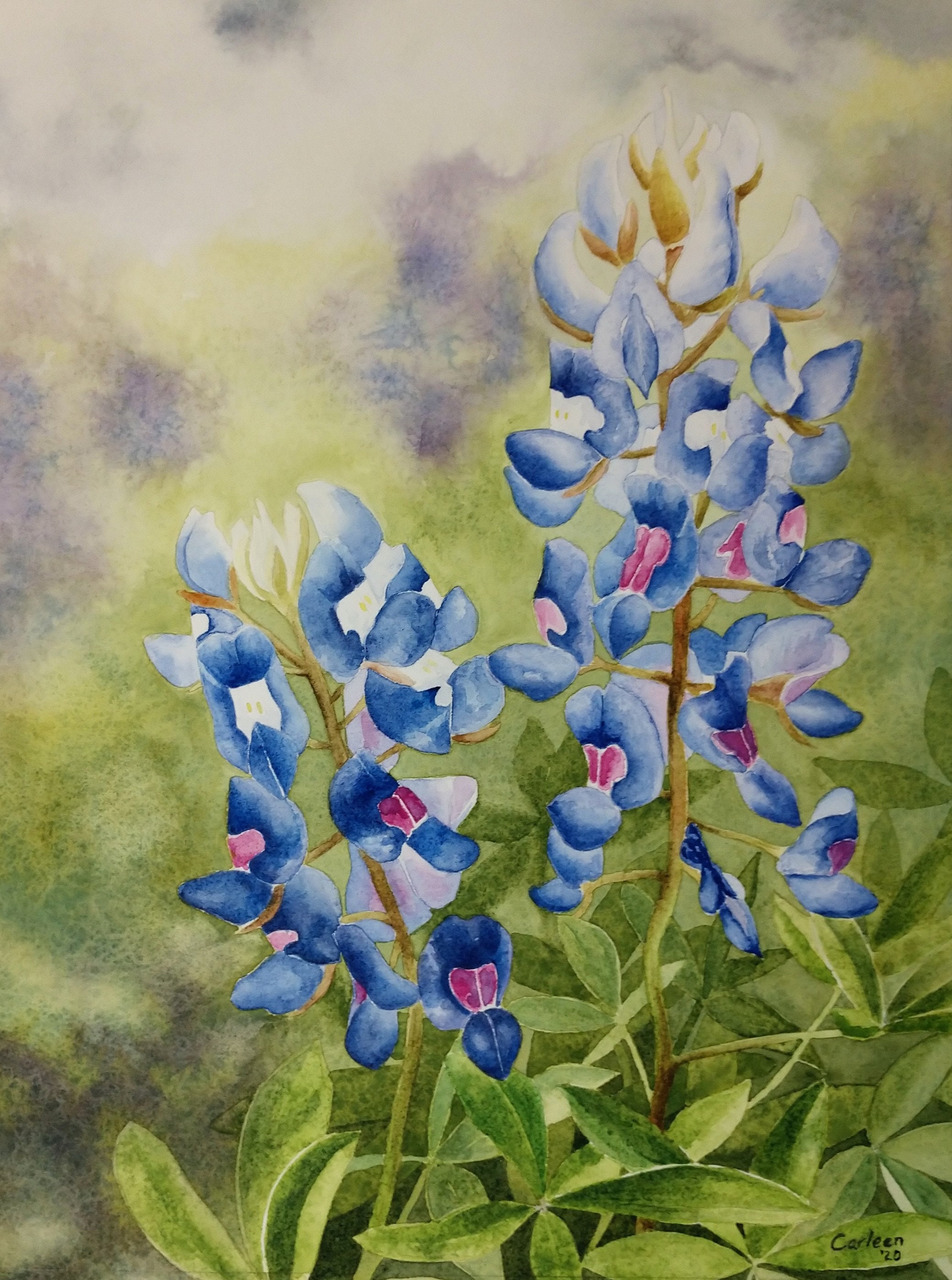 Texas Bluebonnets, Giclee Print From My Original Watercolor Painting - Etsy