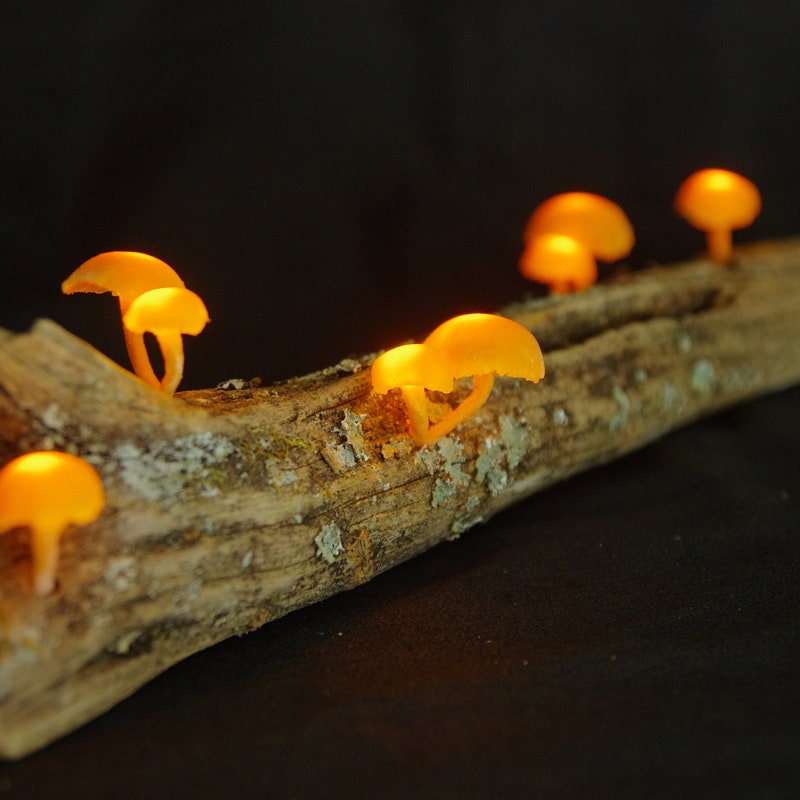 Mushroom Lights - Etsy