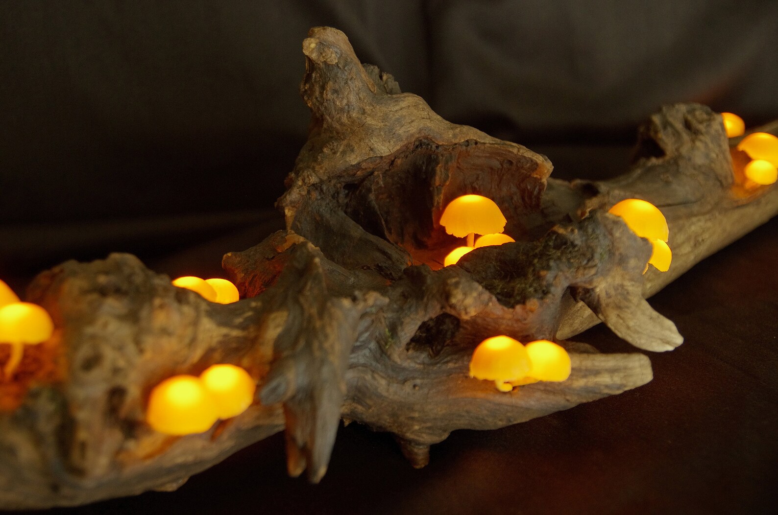 Mushroom Lamp.glowing Mushroom.fairy Mushrooms.accent Lamp.magic ...