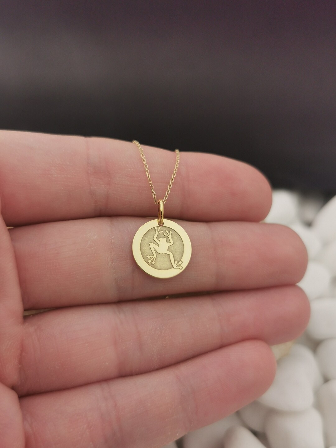 Dainty 14k Solid Gold Frog Necklace, Personalised Frog Pendant , Solid ...