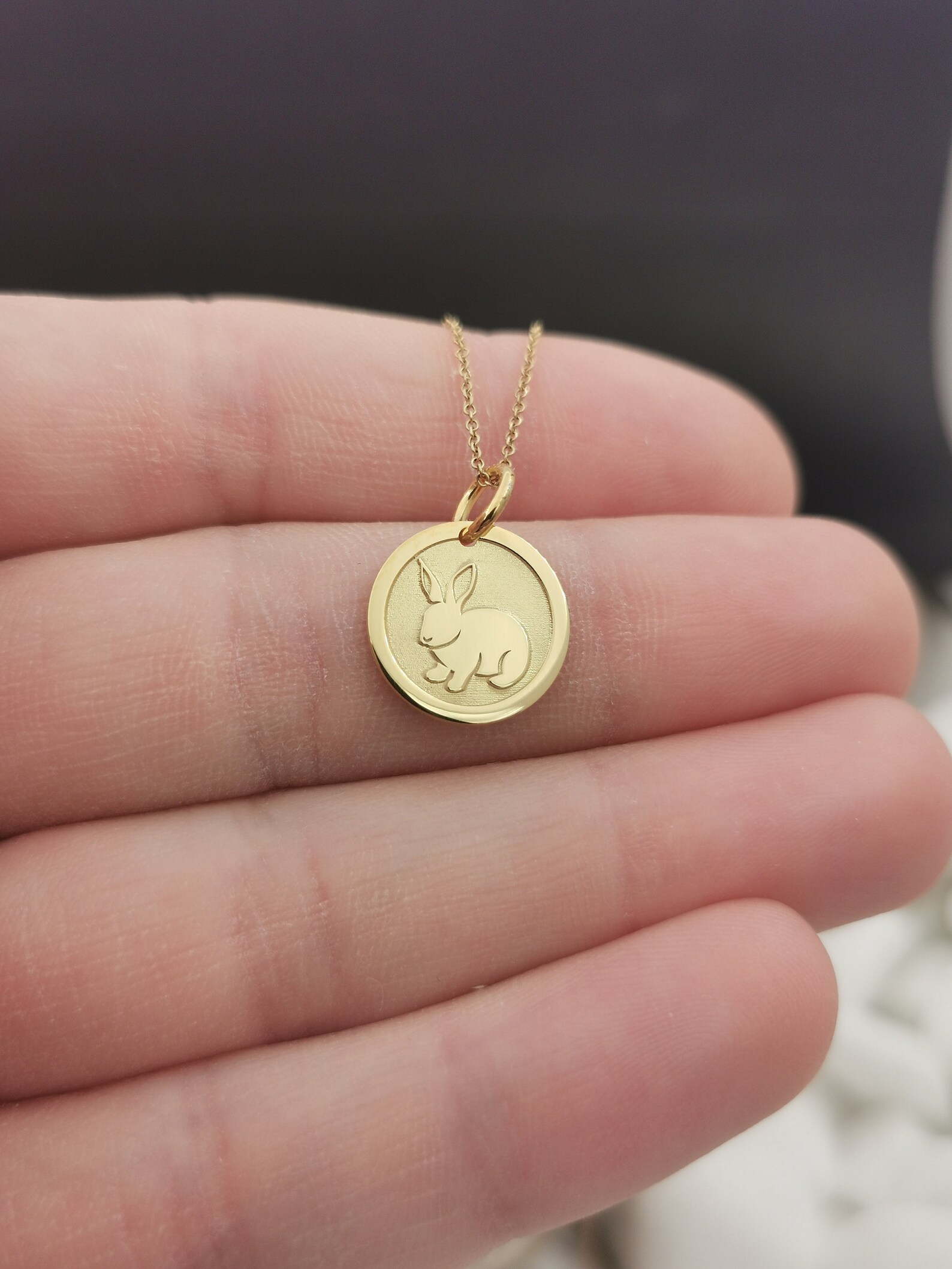 Dainty 14k Solid Gold Rabbit Necklace, Personalized Bunny Pendant, Pet ...