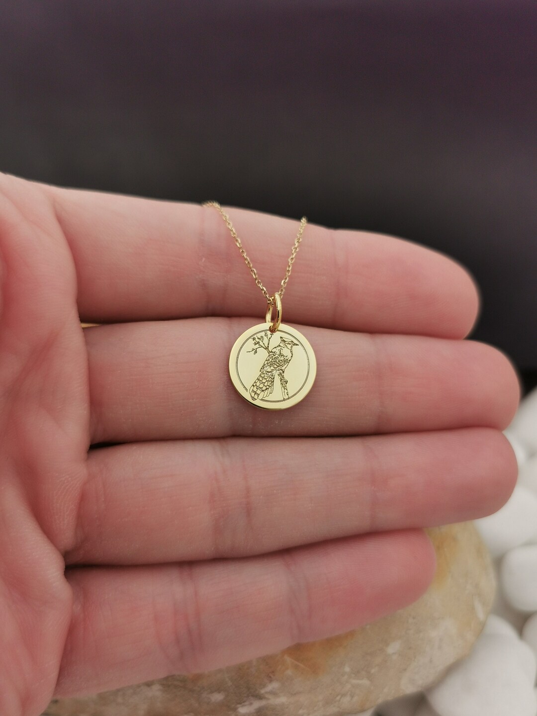 Dainty 14k Solid Gold Blue Jay Necklace, Personalized Blue Jay Pendant ...