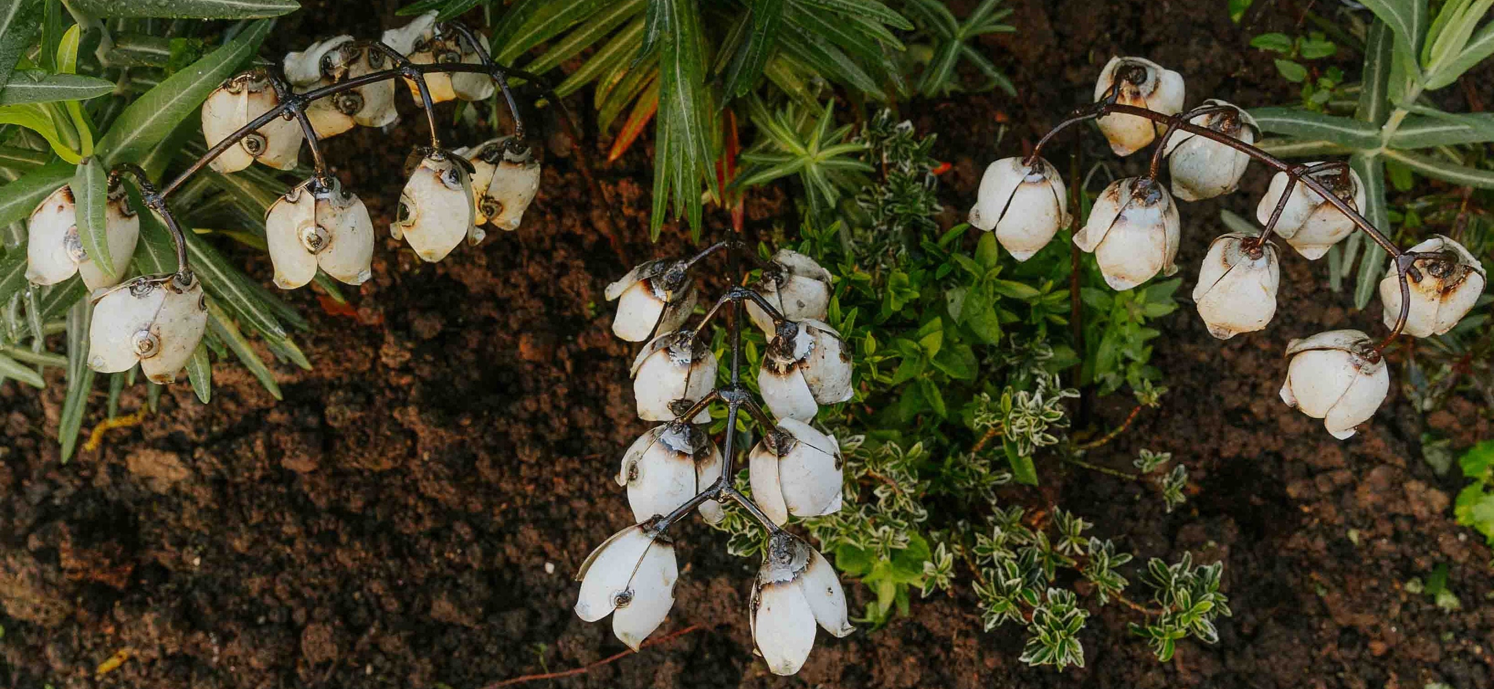 Metal Lily of the Valley Garden Ornament Sculpture Art - Handmade ...