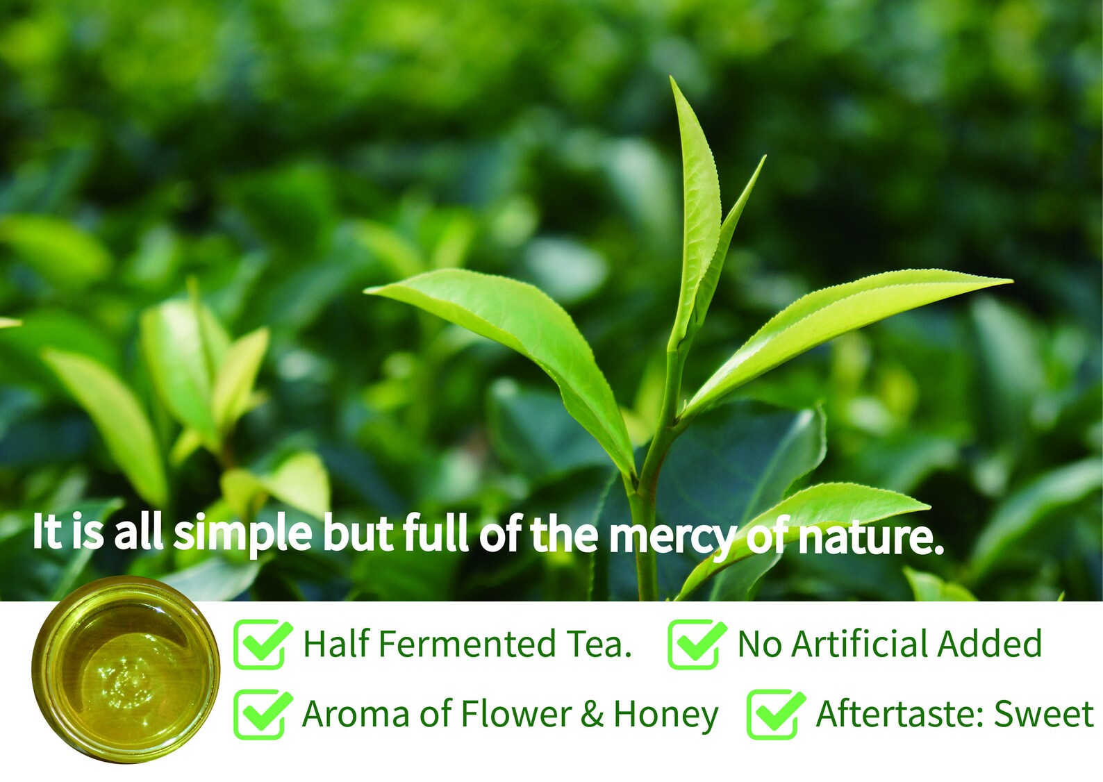 DLIC Tea/classic Alishan Oolong Tea Gift Set/taiwan High Mountain Tea ...