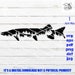 Muskellunge Muskie Svg, Musky, Lunge, PNG High Resolution, Dxf, Fisher ...