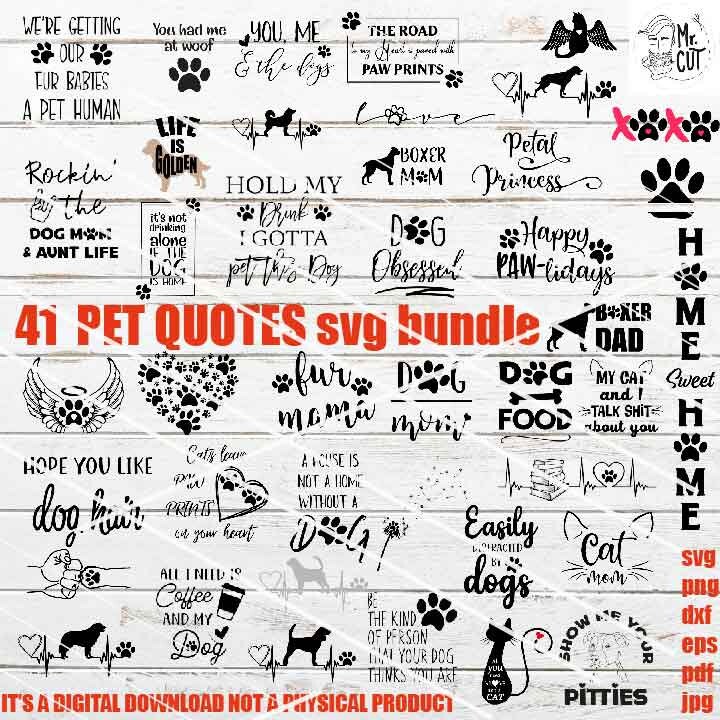 41 Pet Quotes Svg Bundle Pet Svg Cat and Dog Svg Cat Svg - Etsy