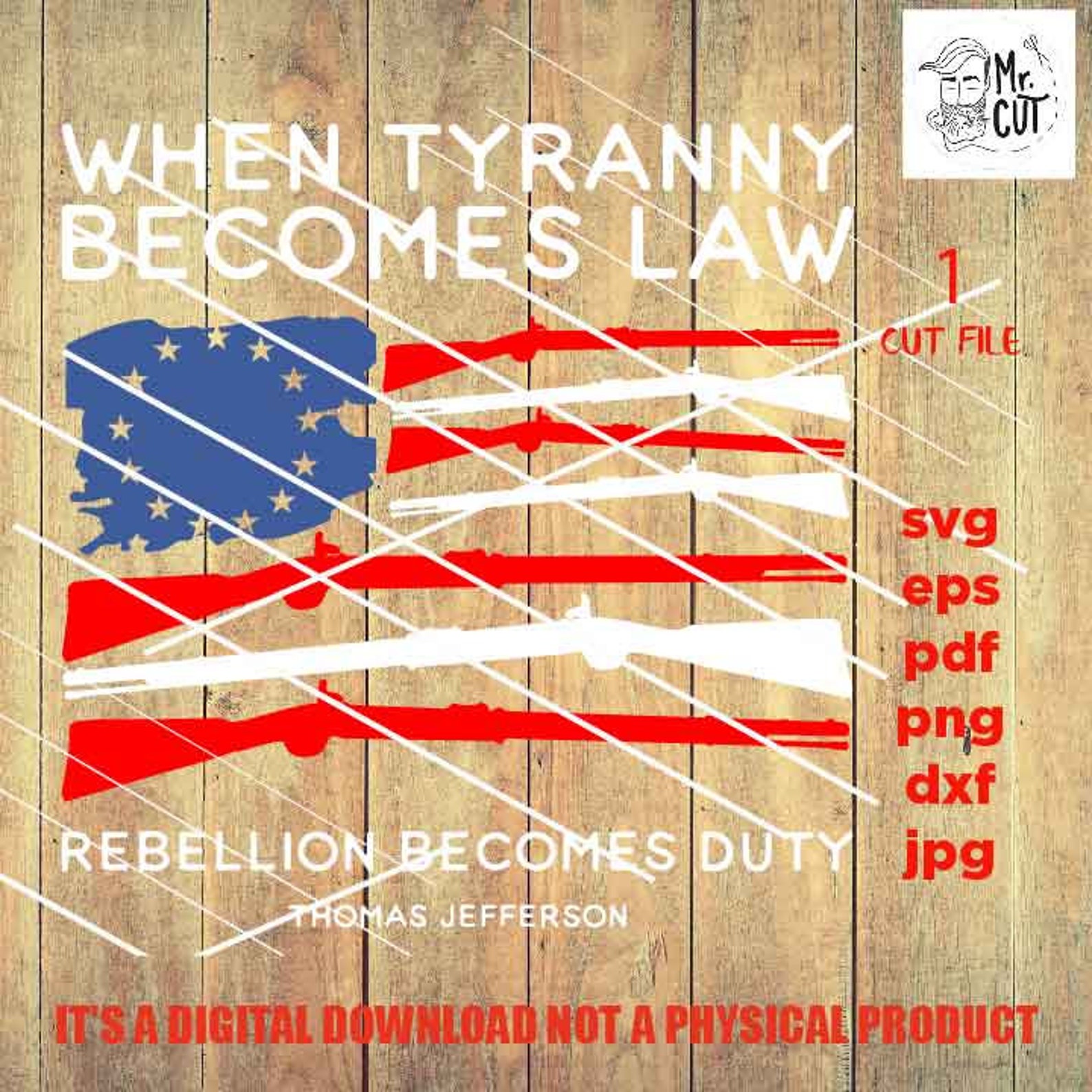 USA Flag When Tyranny Becomes Law Svg Fourth of July Thomas - Etsy Hong ...