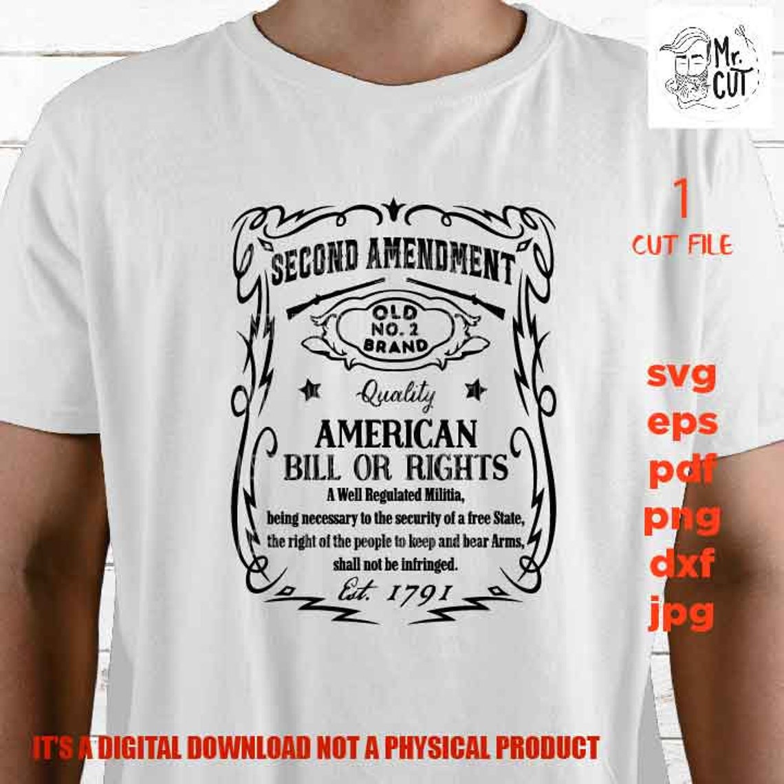 Second Amendment SVG Funny Shirt Vector Right to Bear Arms - Etsy
