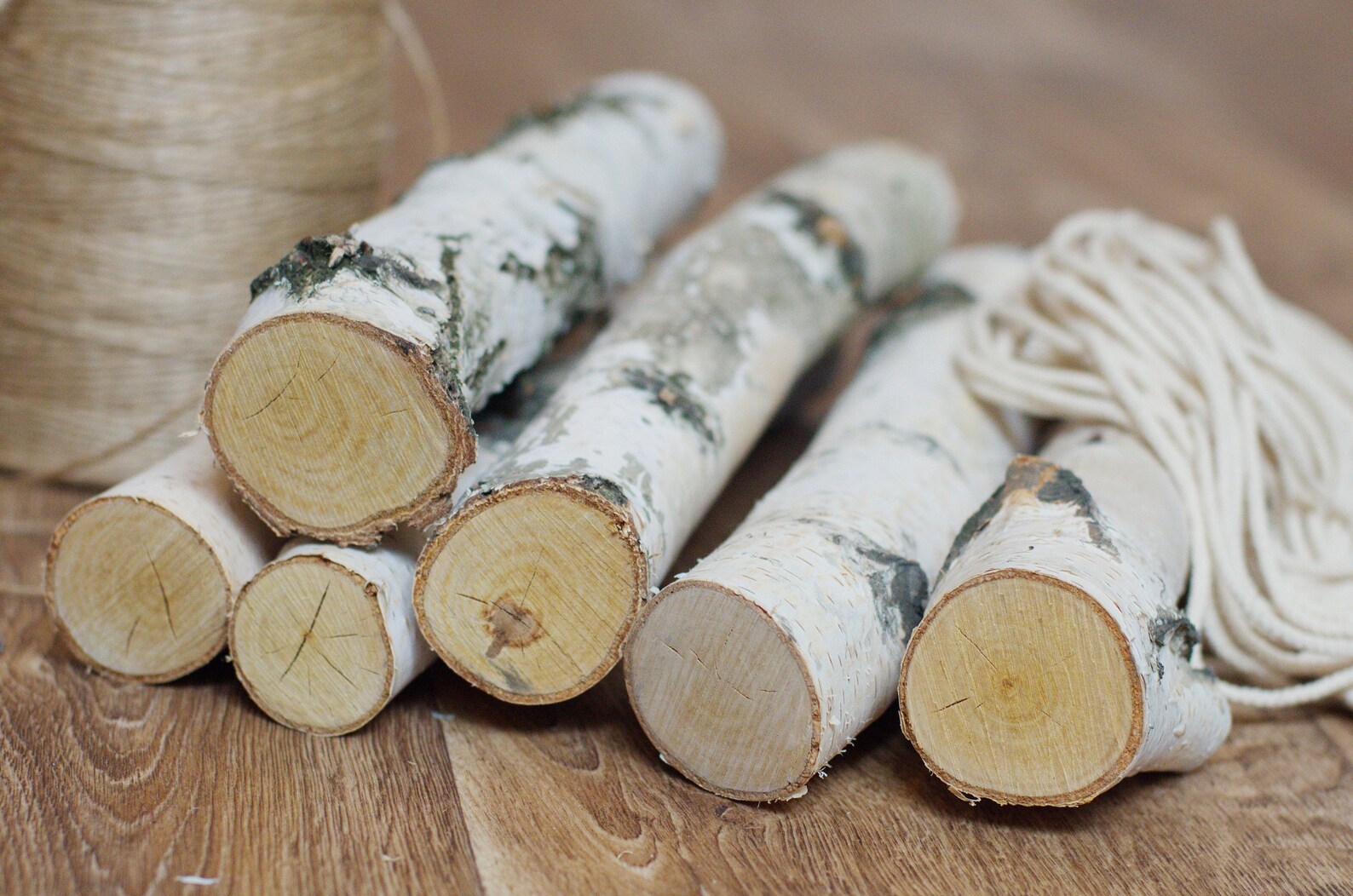 6 Wood Stick, Birch Branches, Birch Logs, Birch Sticks, White Birch ...