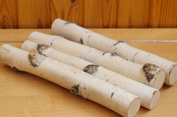 4 Wood Stick Birch Branches Birch Logs Birch Sticks White - Etsy UK
