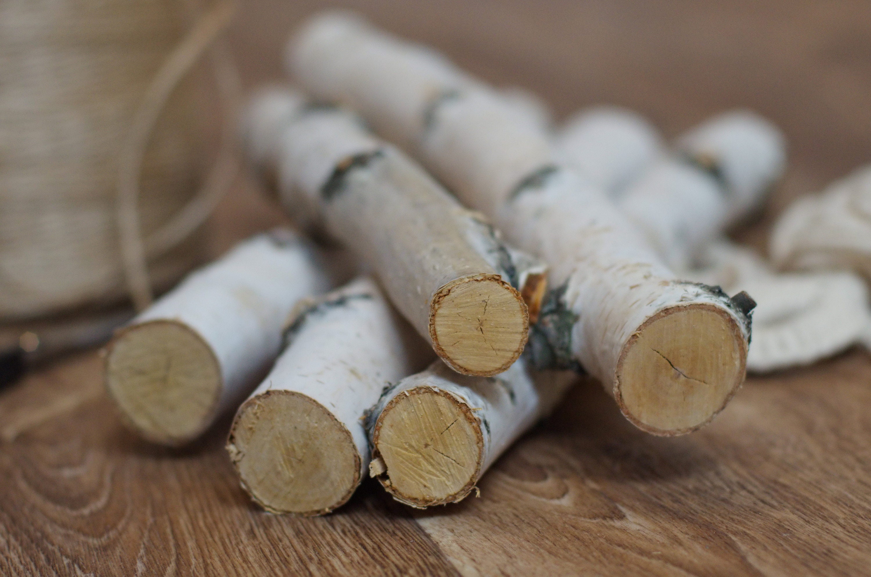 5 Wood Stick Birch Branches Birch Logs Birch Sticks White | Etsy