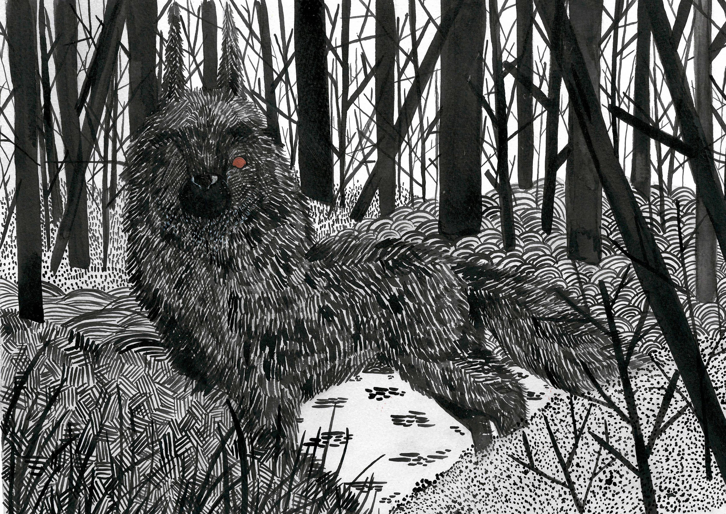 Fairy Tale Wolf, Little Red Riding Hood. Wolf Illustration A4 Print - Etsy