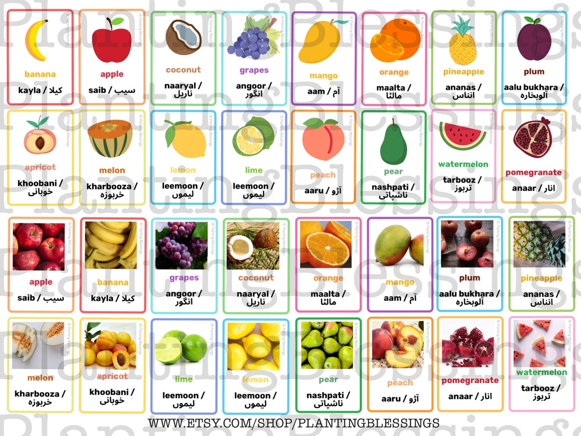 Fruits URDU ENGLISH EDITION 16 Common Fruit Flash Cards | Etsy