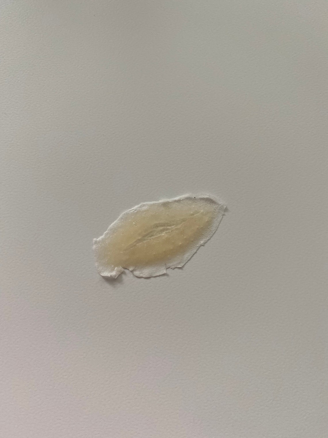 Small Gash Prosthetic for Film Halloween Zombie Costume - Etsy