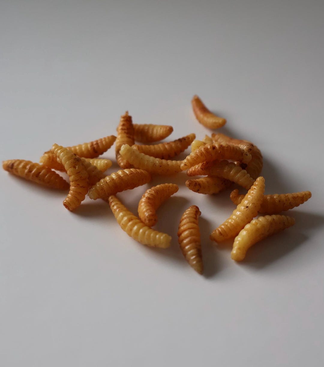 Realistic Fake Maggots – Soft Prop Larvae for SFX Makeup, Photos & Set ...