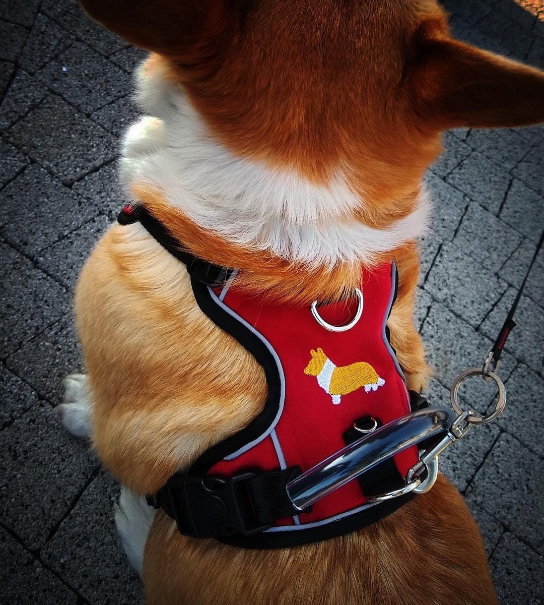 Dog Harness Wide Chest Size M (f.ex. Corgi) With Embroidery on ...