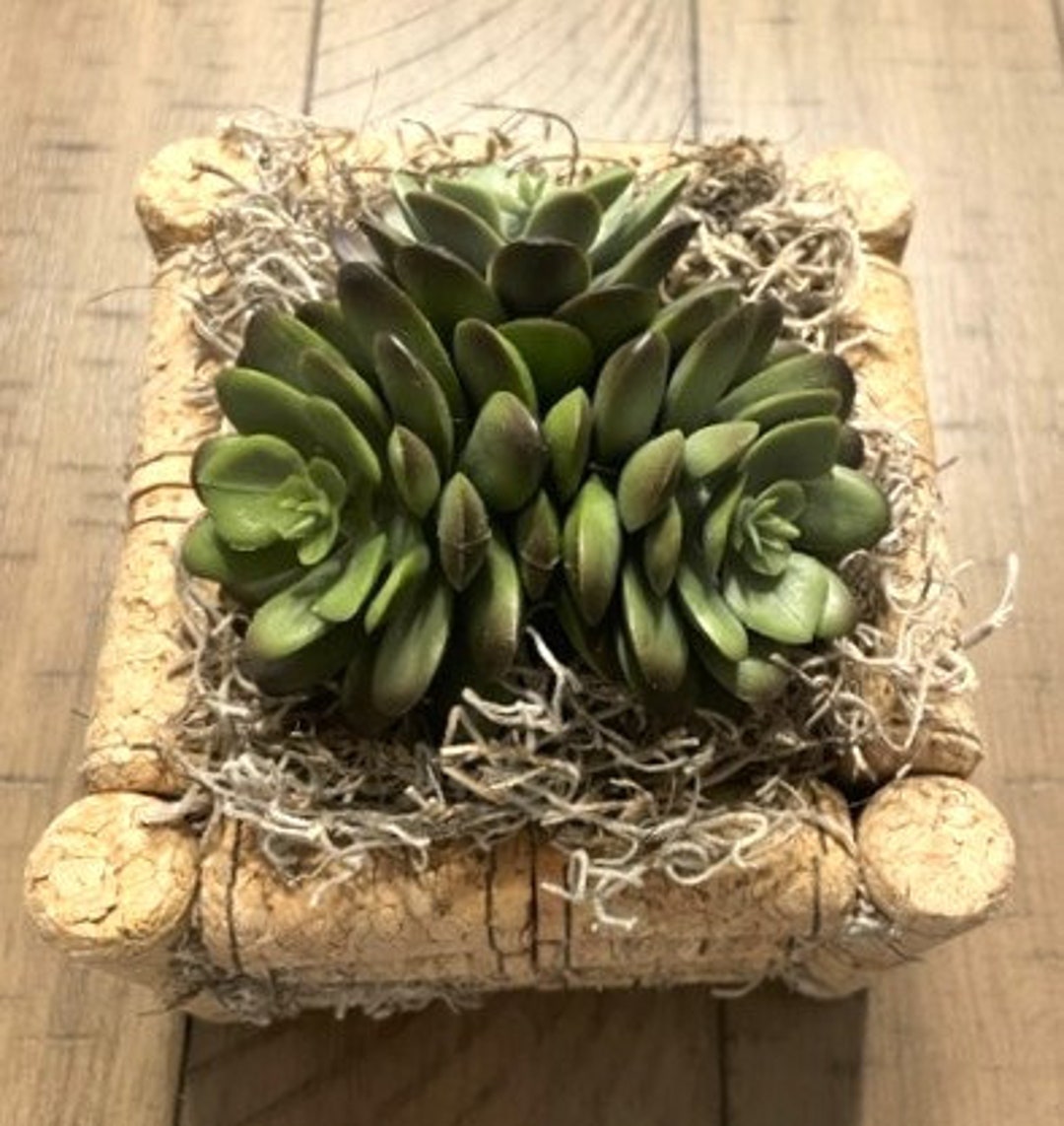 Wine Cork Planter, Faux Cork Planter, Faux Succulent Planter, Upcycled ...