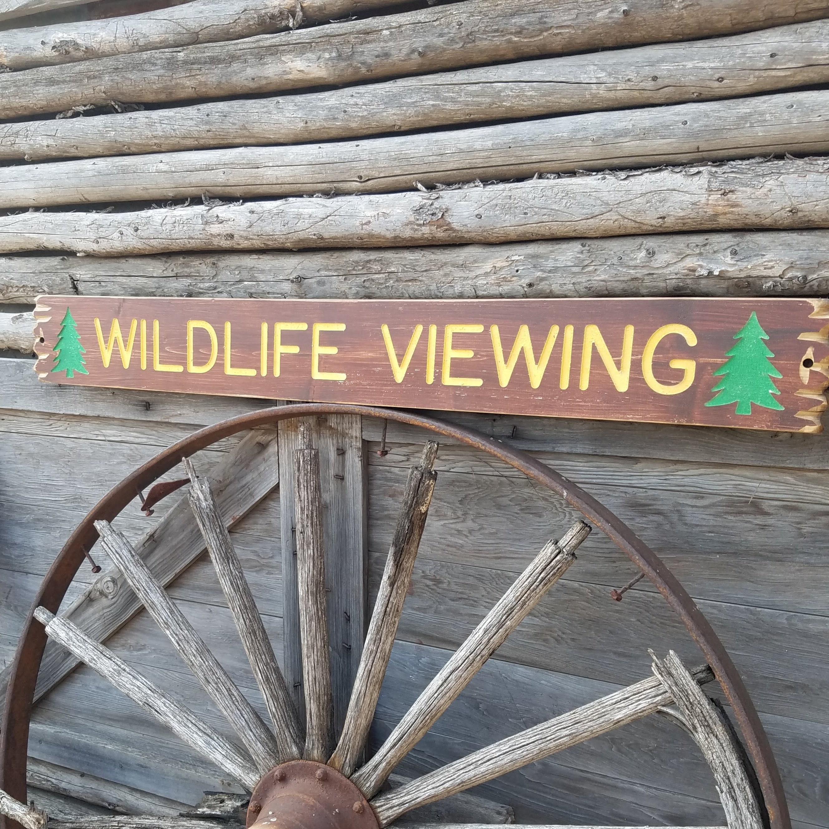 WILDLIFE VIEWING Rustic Engraved Wood Sign National Park | Etsy