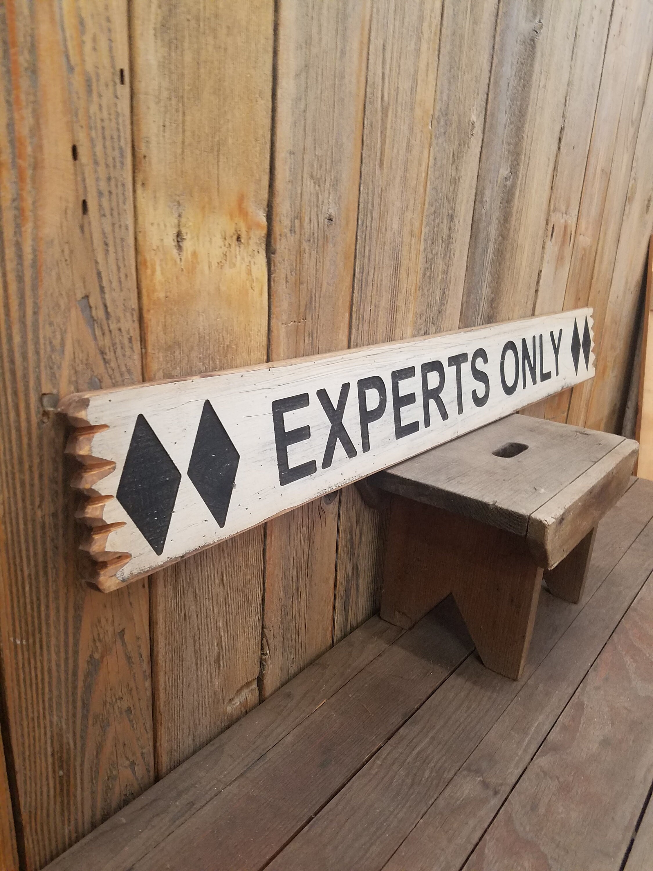 EXPERTS ONLY/Carved/Rustic/Wood/Sign/Ski Cabin Sign/Lodge/décor/ Snow ...