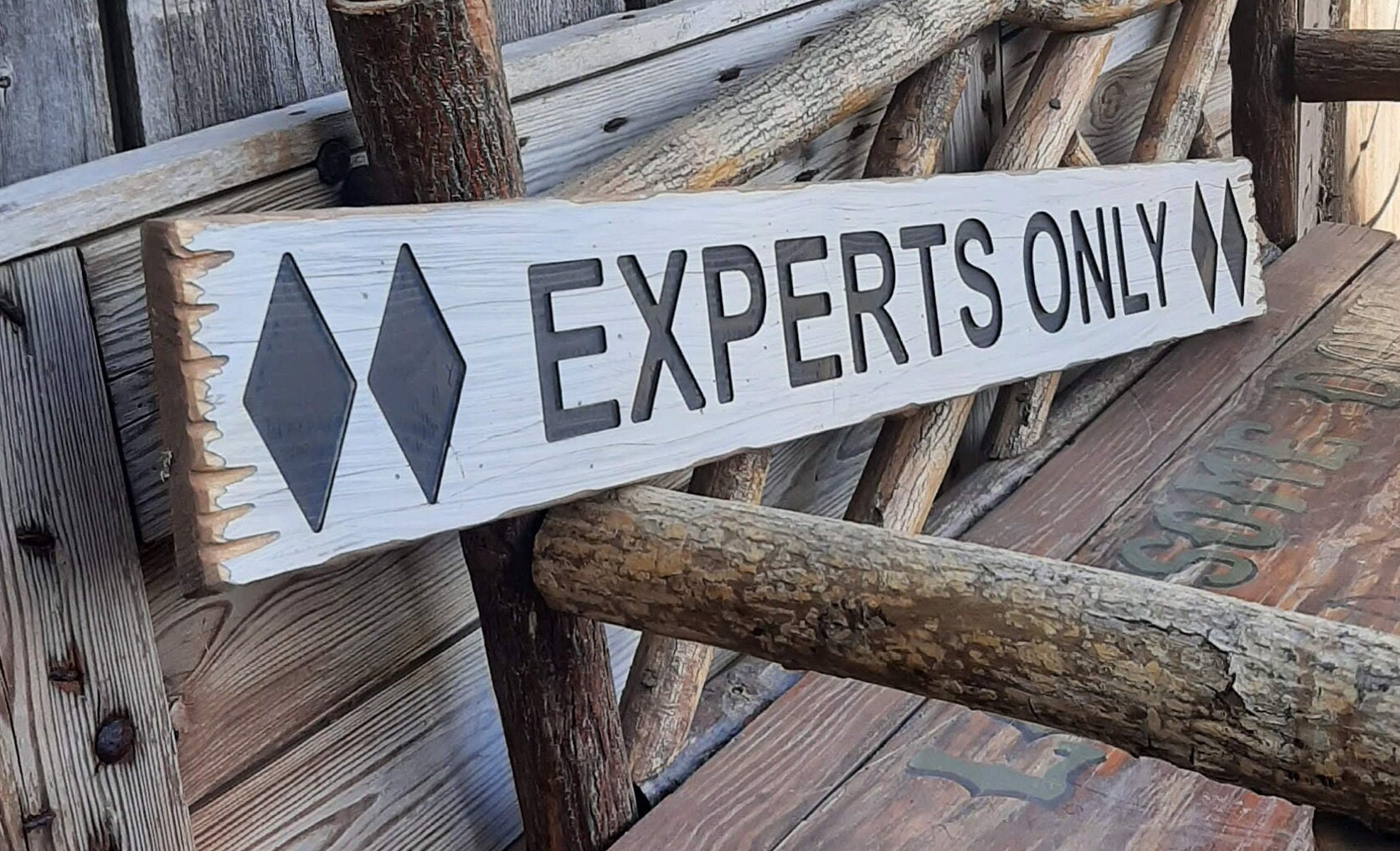 EXPERTS ONLY/Carved/Rustic/Wood/Sign/Ski Cabin Sign/Lodge/décor/ Snow ...