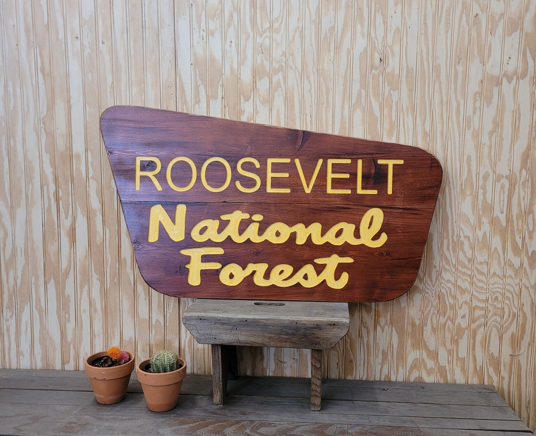 Extra Large Custom National Forest/rustic/carved/wood Sign/cabin/décor ...